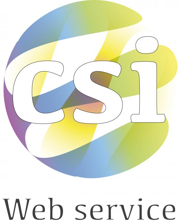 Designs de manonqmd - Création d'un logo pour CSI Web Services
